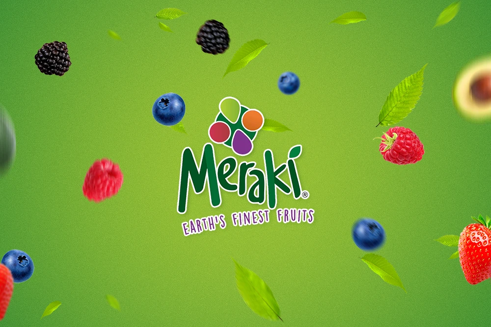 Meraki Fruits - De México para el mundo