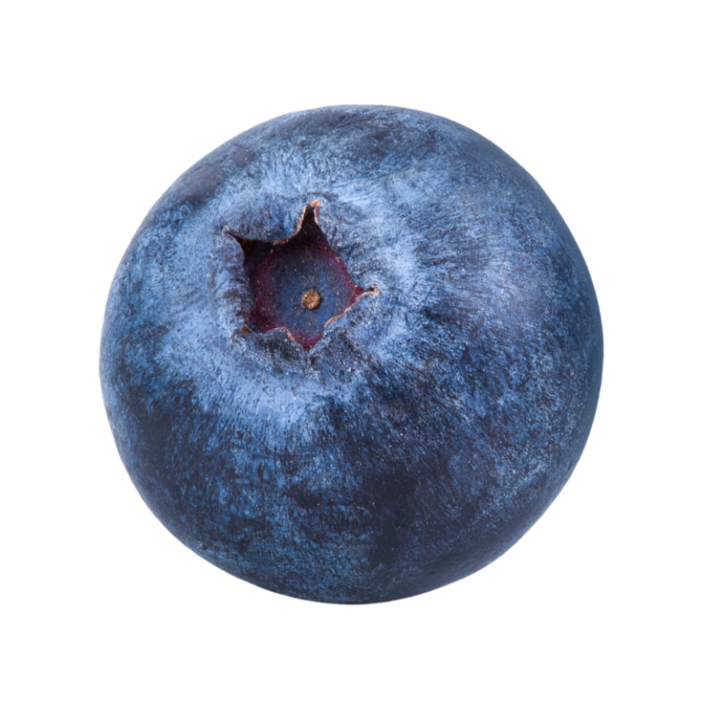 Inicio - Meraki Fruits