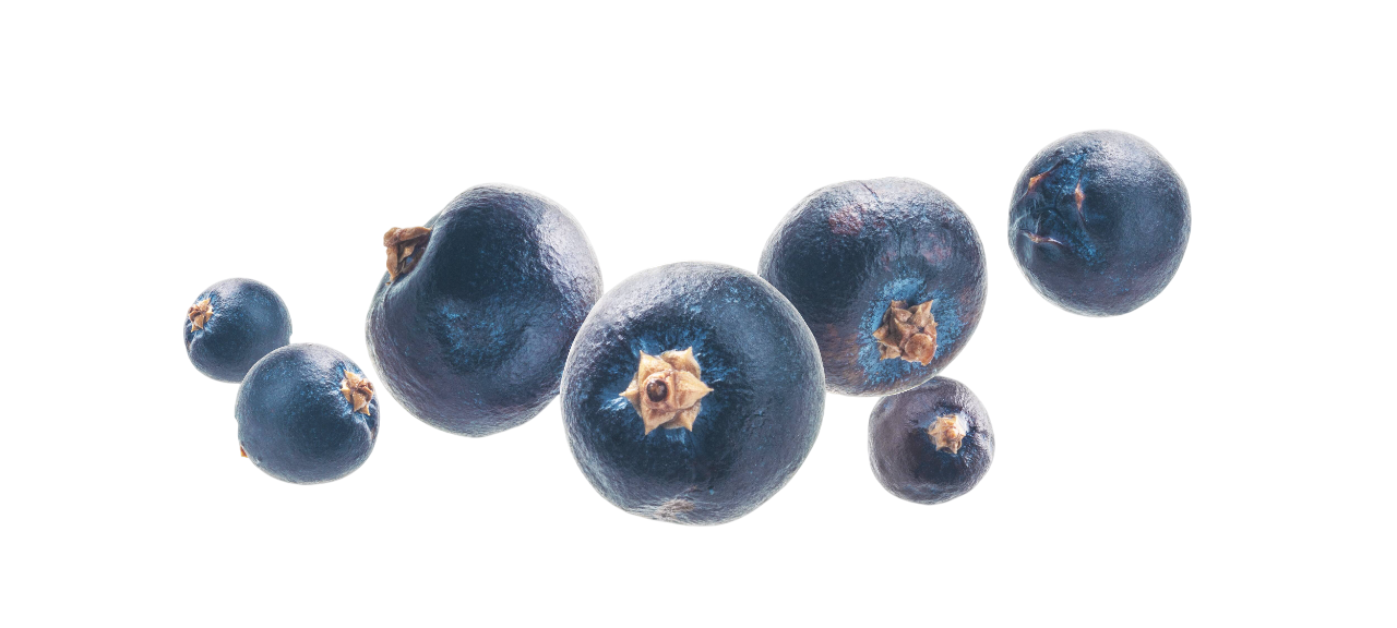 Inicio - Meraki Fruits