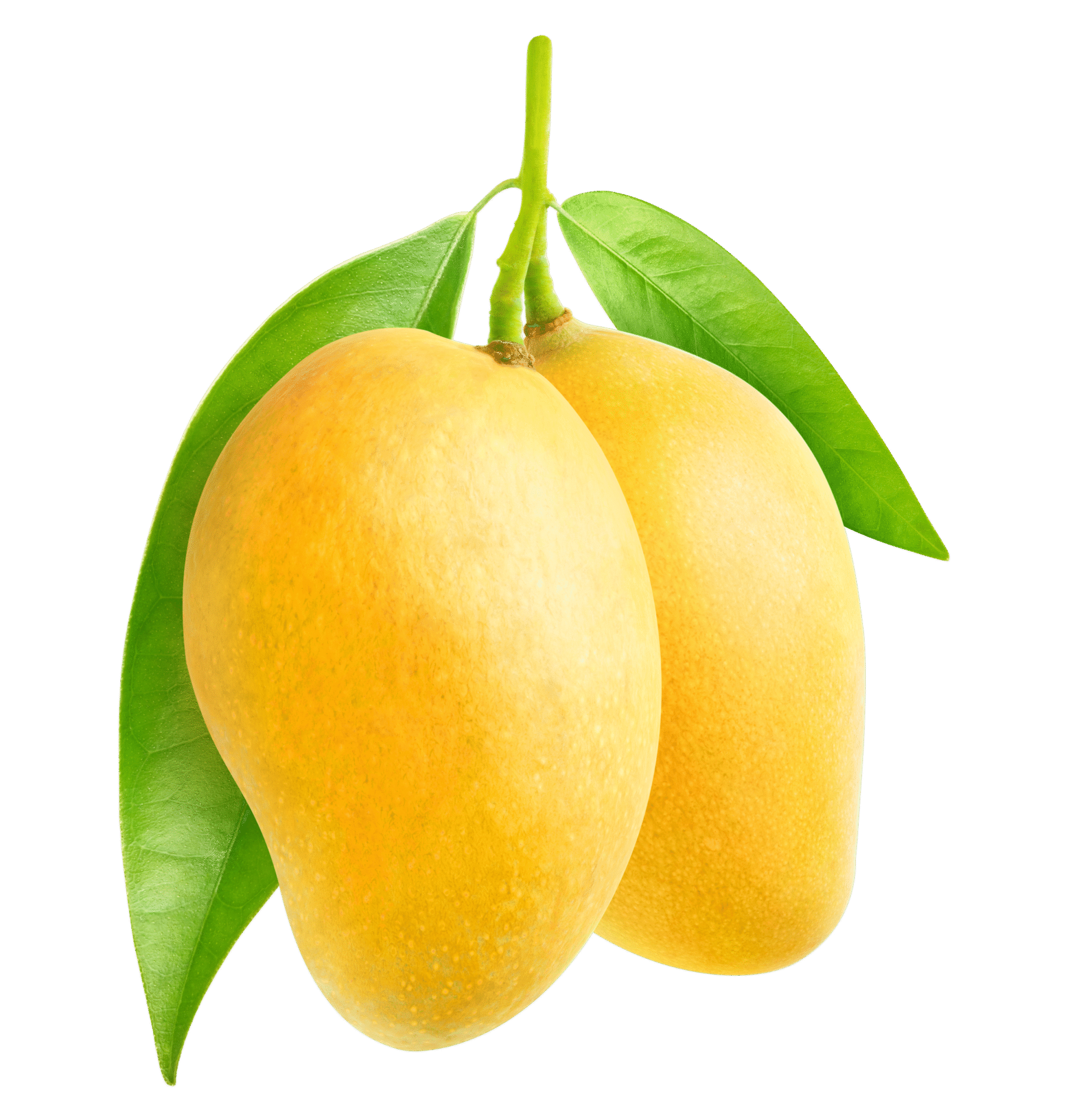 Inicio - Meraki Fruits